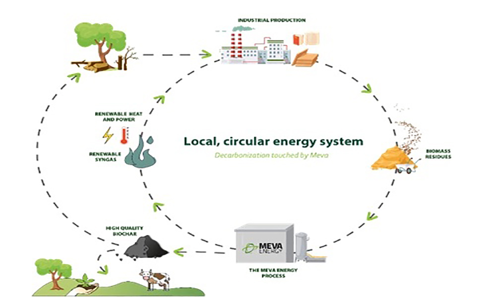 Paper and Wood|Decarbonization of a tissue paper plant: Repl