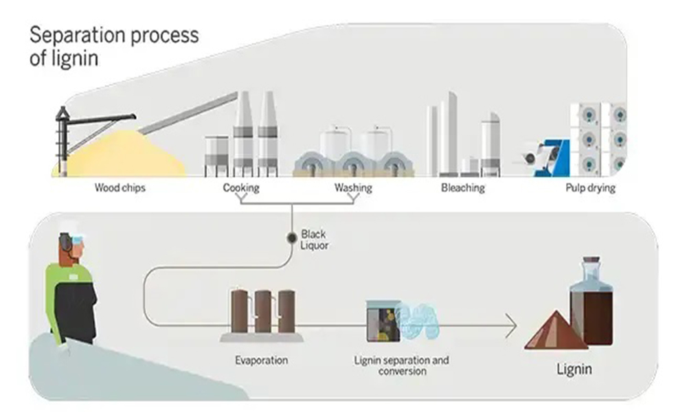 Paper and Wood|Metsä Fibre Innovates with a Lignin-Based Pro