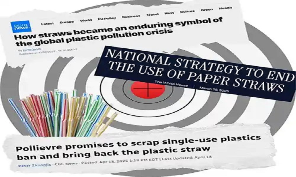 Paper and Wood|It Was Never About the Straws|Paper|Wood